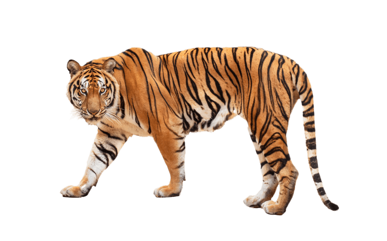 Geneious | Bioinformatics Software for Sequence Data Analysis