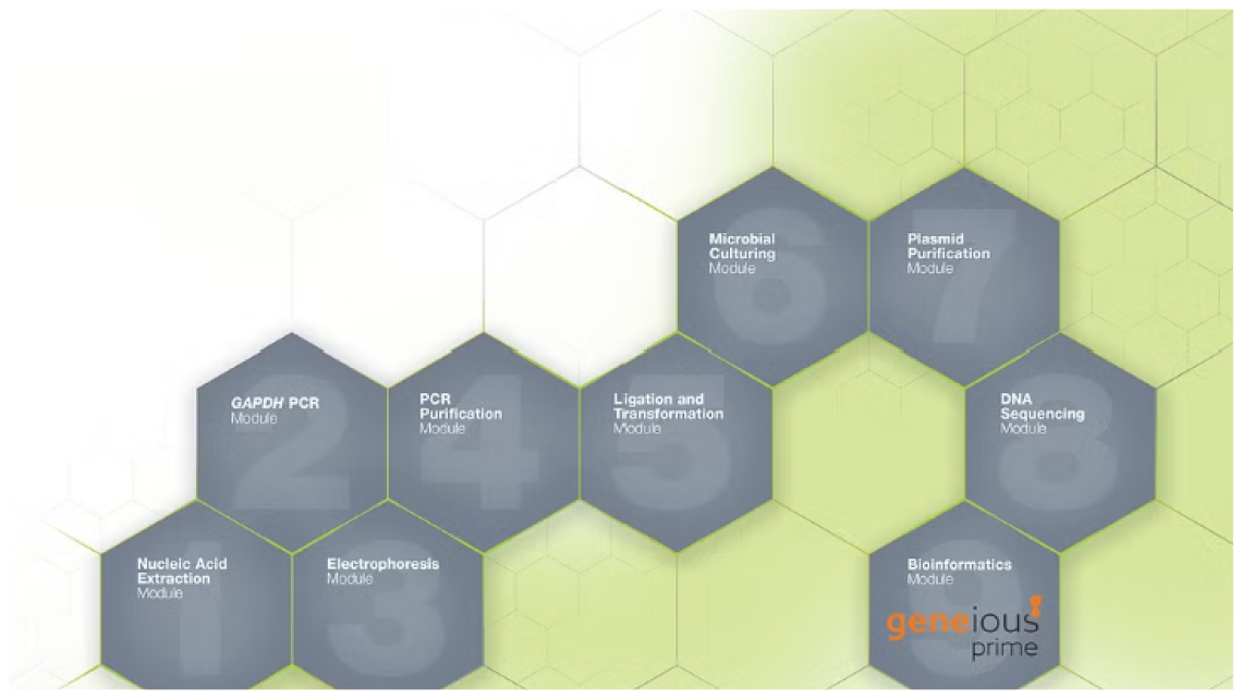 Biorad | Geneious Prime